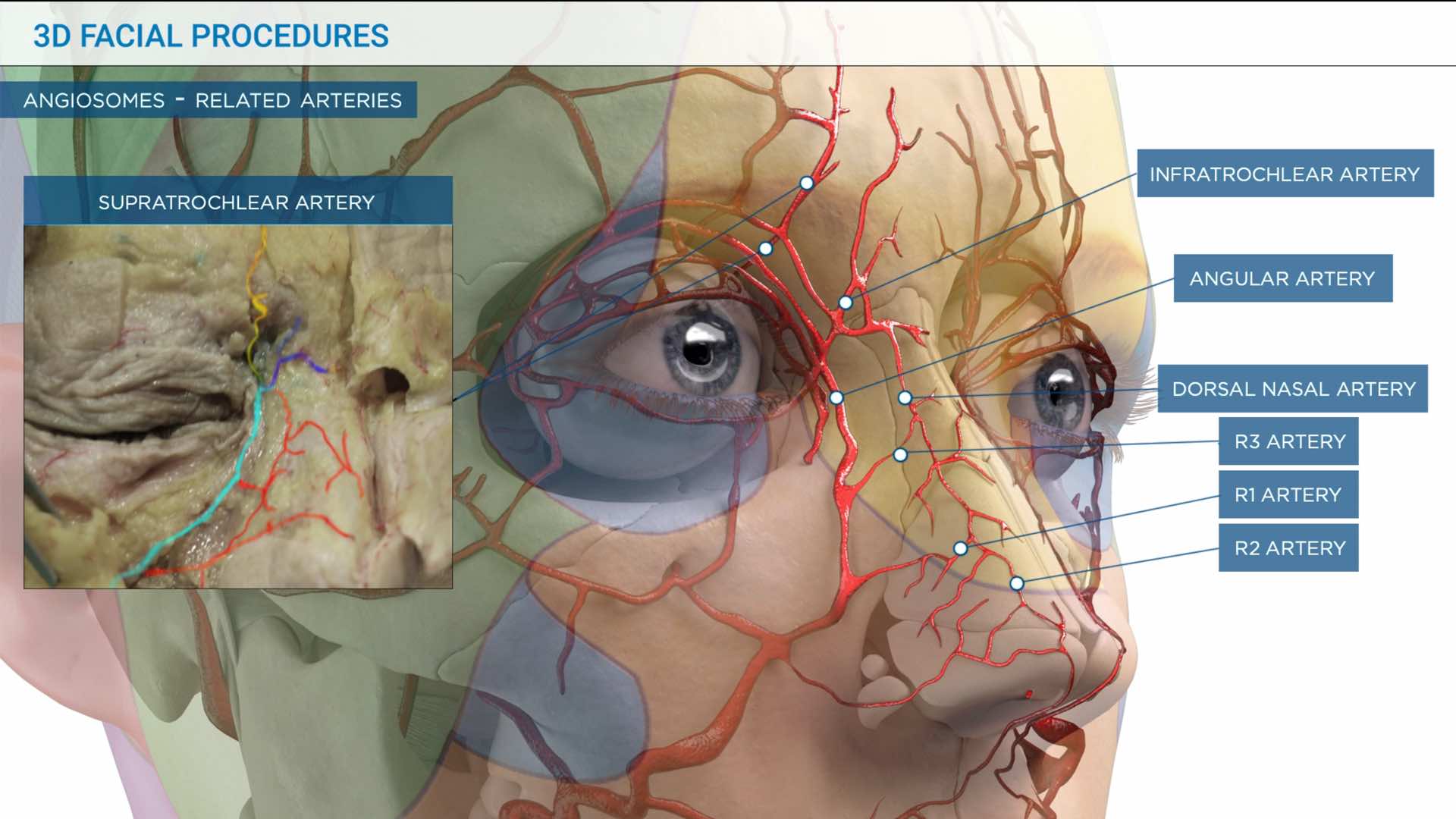 IMCAS Academy - Aesthetic Surgery & Cosmetic Dermatology